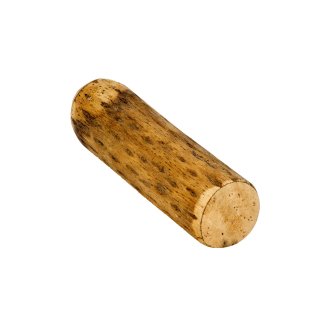 Chilean Rain Stick Rain Maker Cactus (10 inch, Large) – Terre.USA